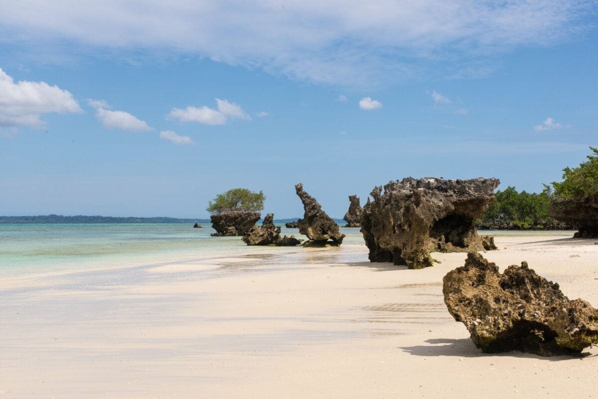 Pemba Island – Discover Africa