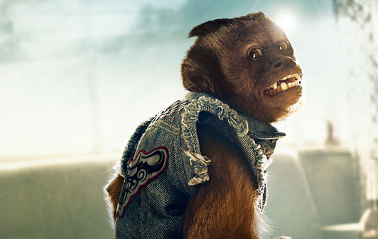 15 Famous Movie Monkeys - Slant Magazine