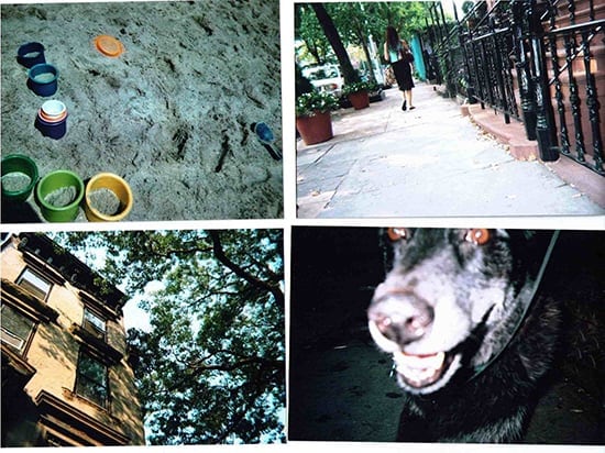 My Three-Year Old Could Shoot That: The Early Photographs of James ...