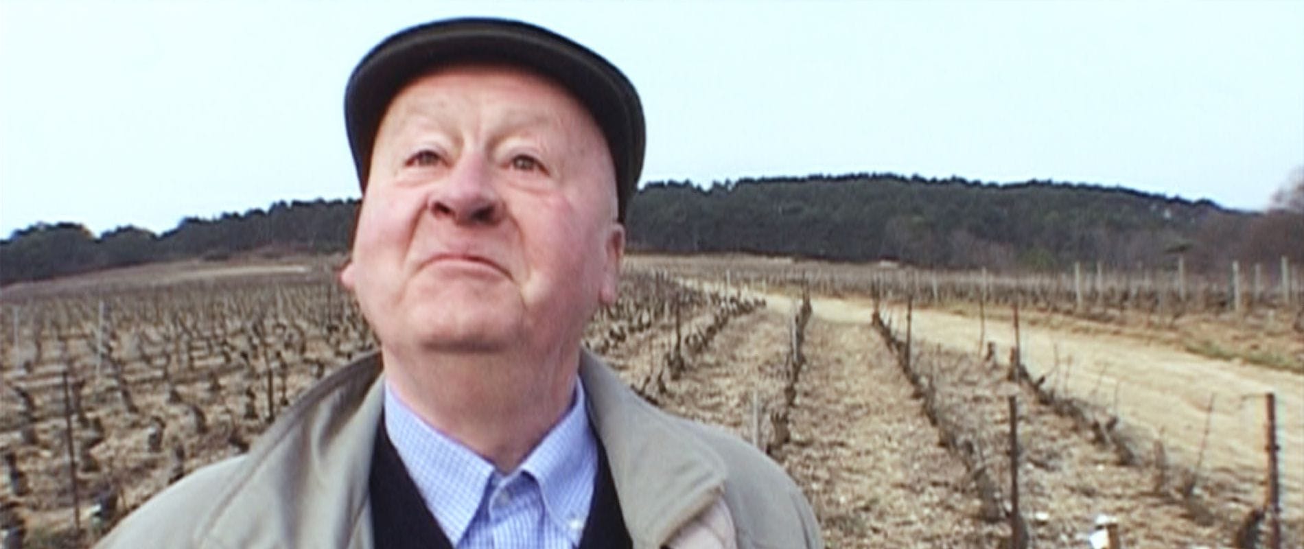 Review: Mondovino - Slant Magazine