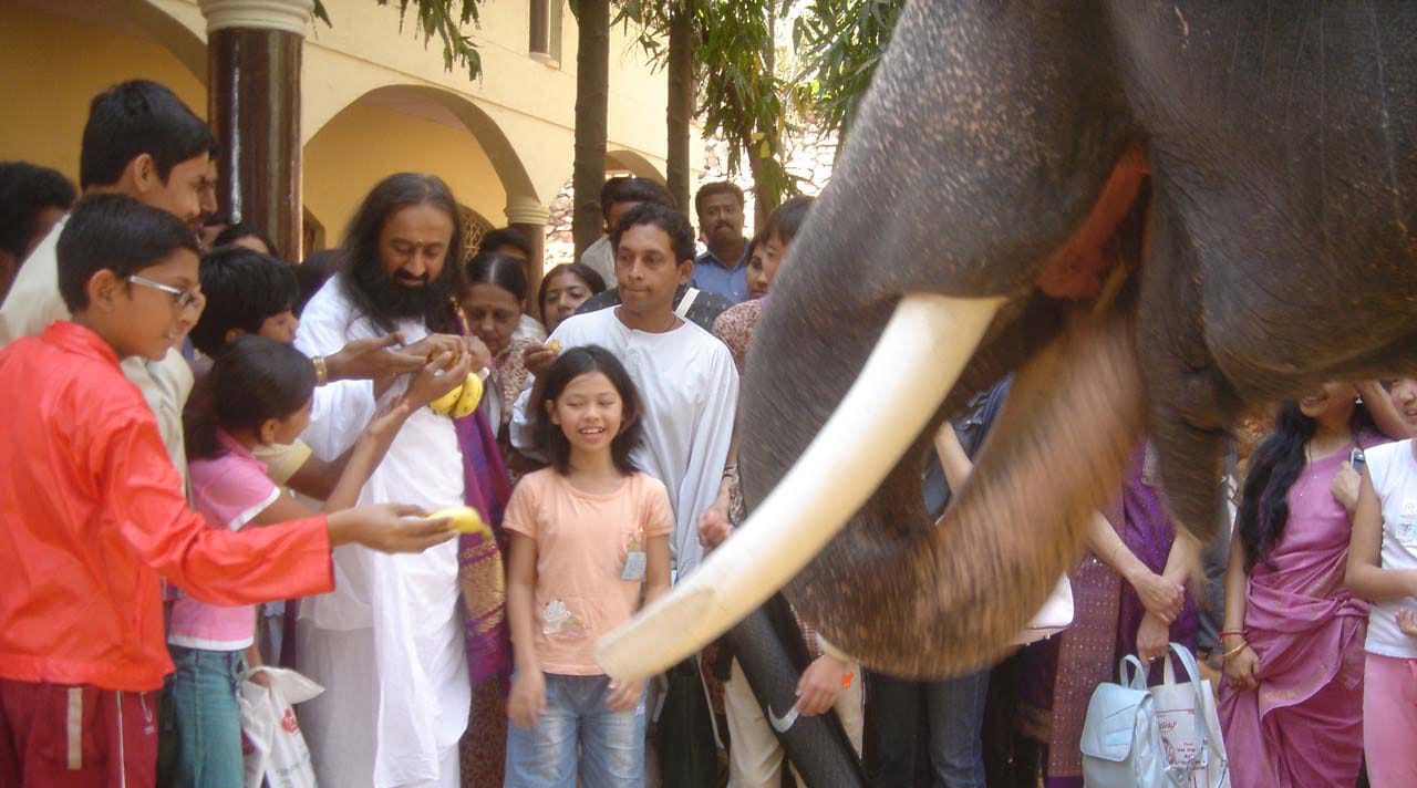 Review: The Nature of Existence - Slant Magazine