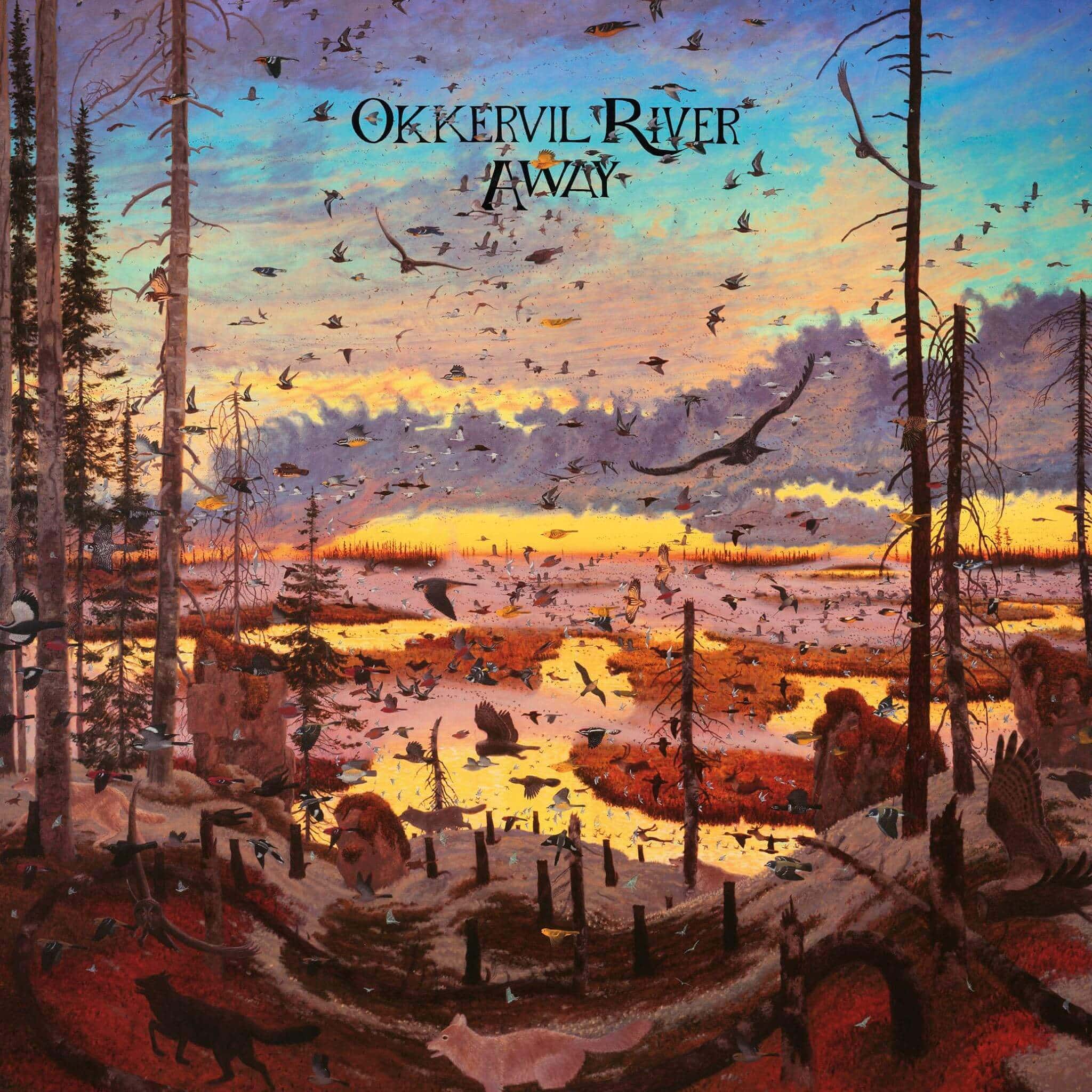 Review: Okkervil River, Black Sheep Boy: Definitive Edition - Slant ...