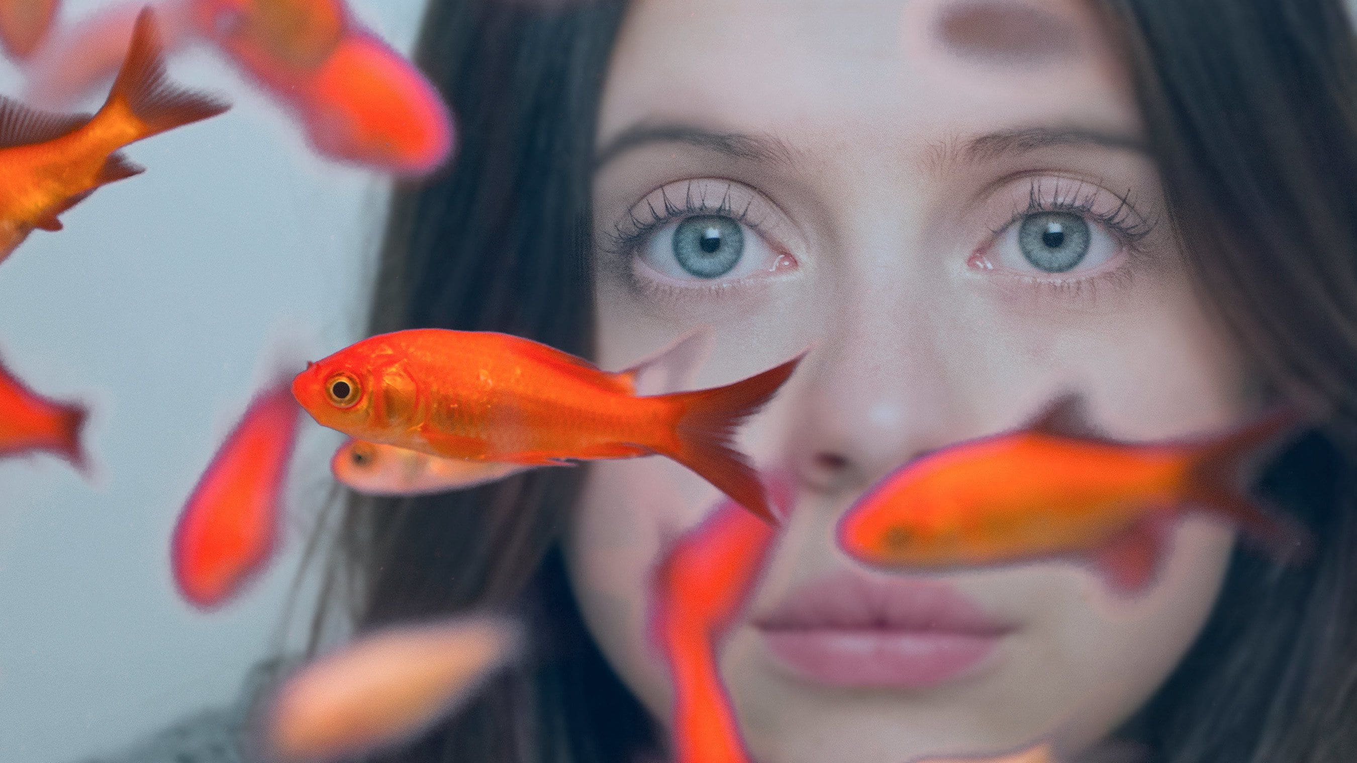 Review: Carrie Pilby - Slant Magazine