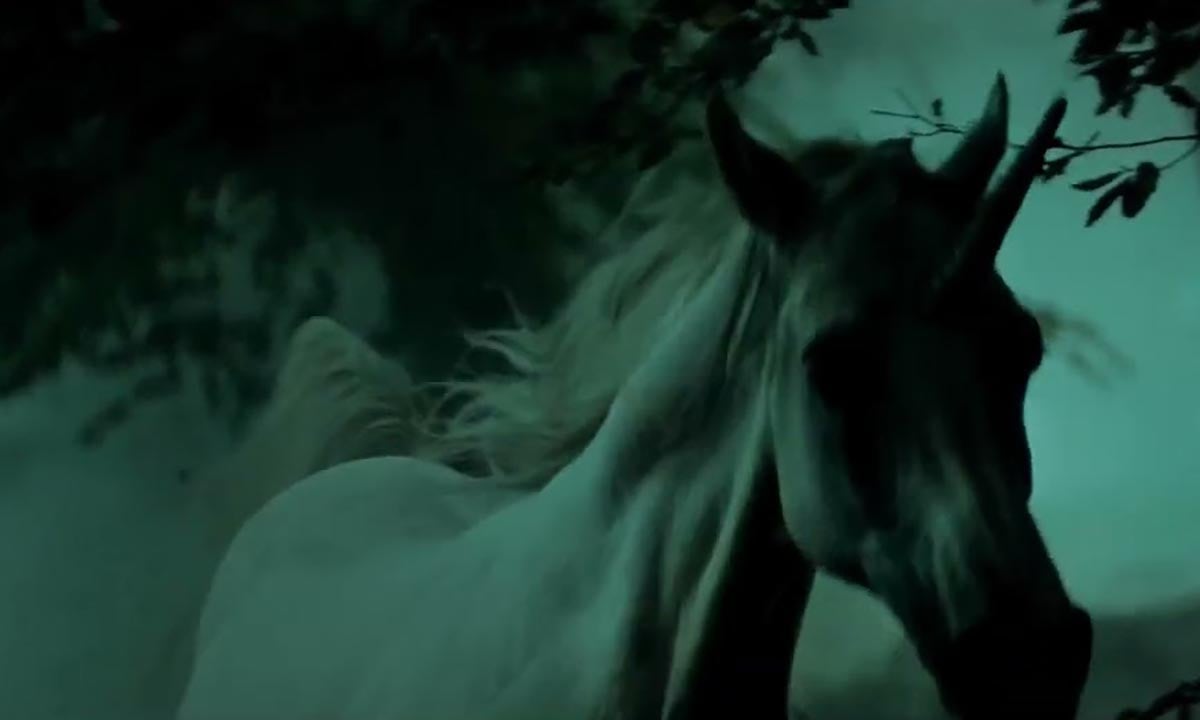 10 Famous Movie Unicorns