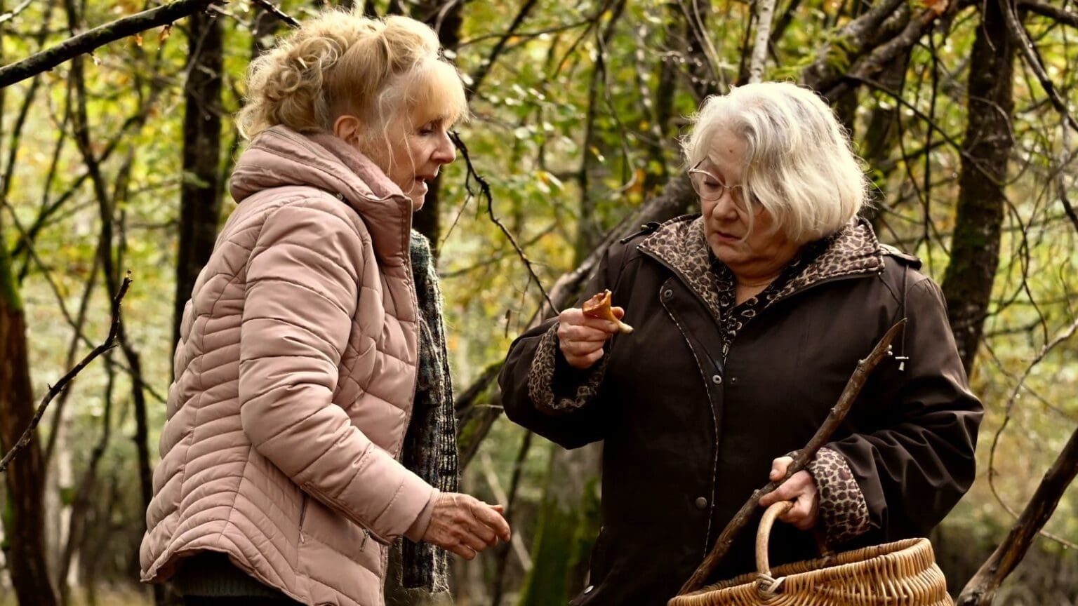 'When Fall Is Coming' Review: A Sneaky Tale of Family Strife