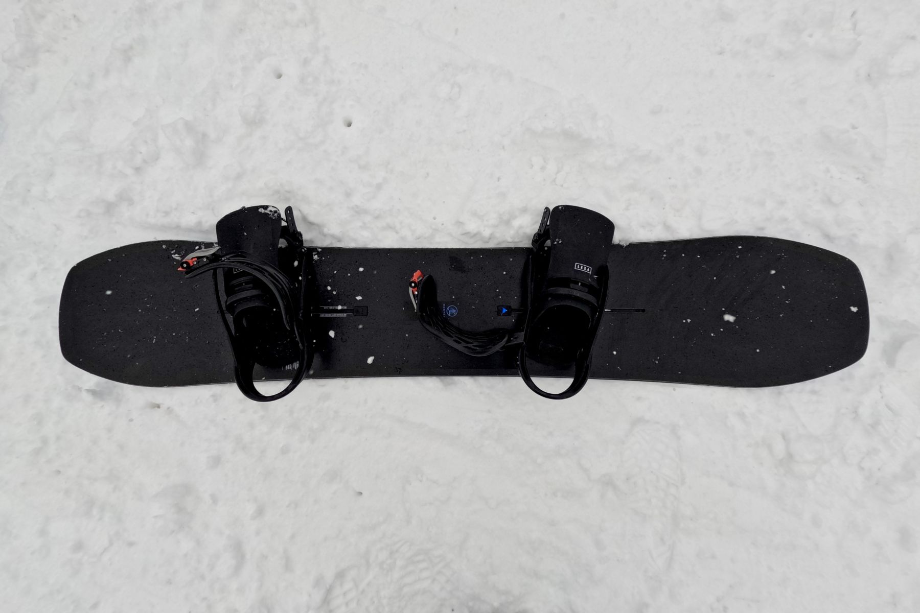 Burton Family Tree Hometown Hero Reviewed in 2025