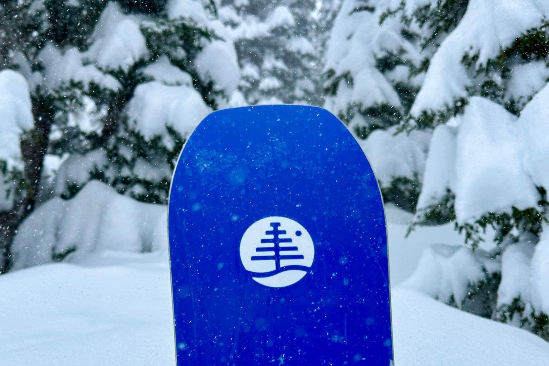 11 Best Burton Snowboards in 2025