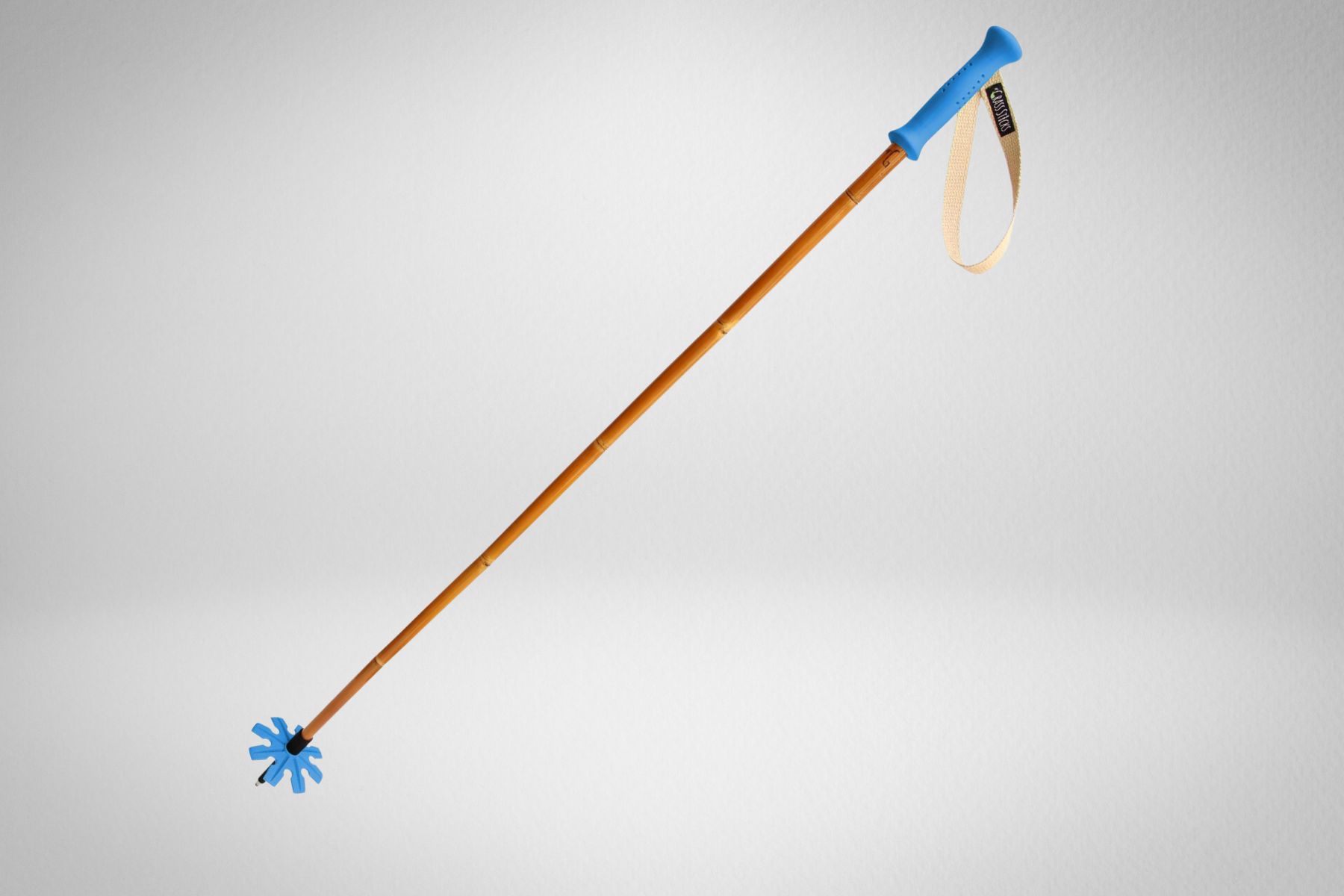 12 Best Ski Poles of 2024