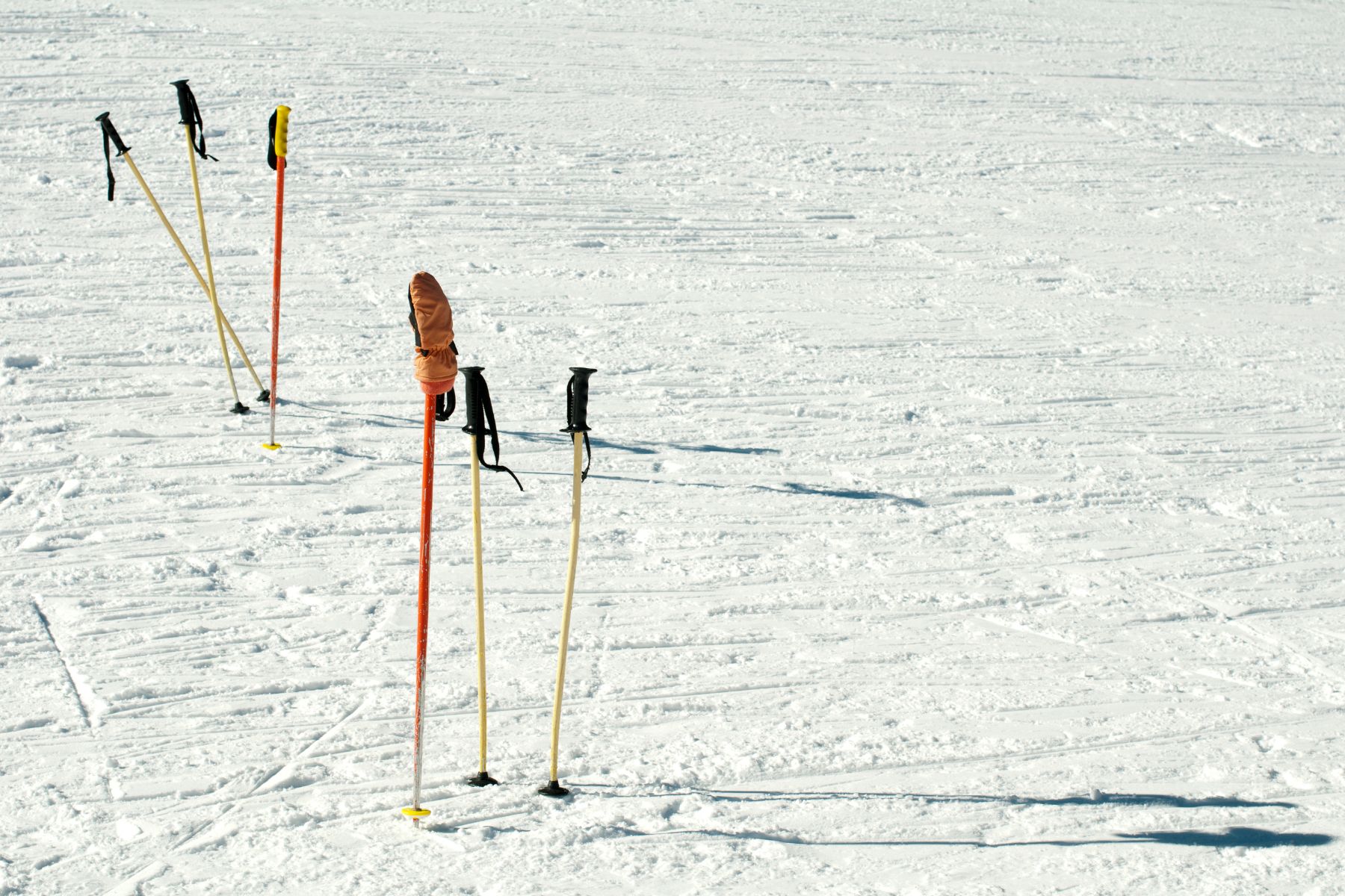 12 Best Ski Poles of 2024