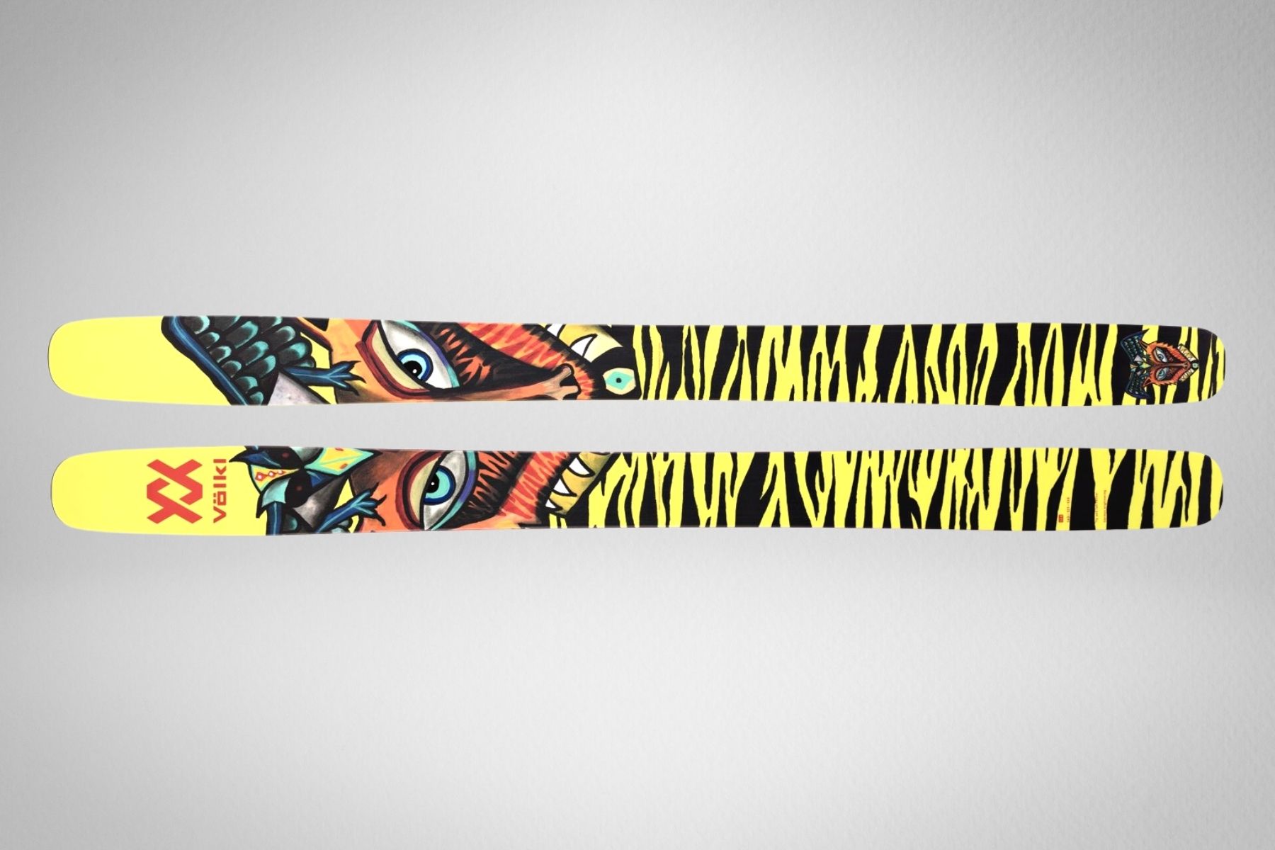 10 Best Völkl Skis of 2025 | All Types of Skiing
