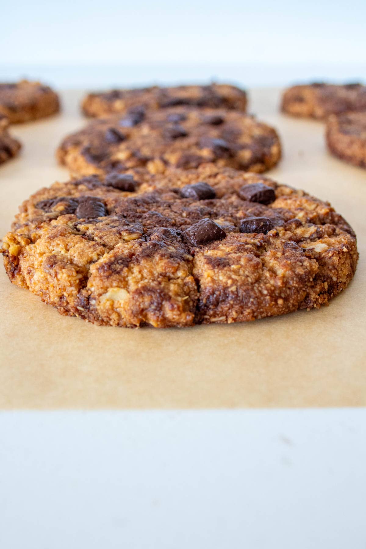 10 Easy Diabetic Cookie Recipes - Sugar Free & Low Carb