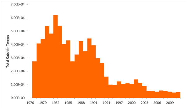 Atlantic Cod: The Good, The Bad, and the Rebuilding - Part 1 ...