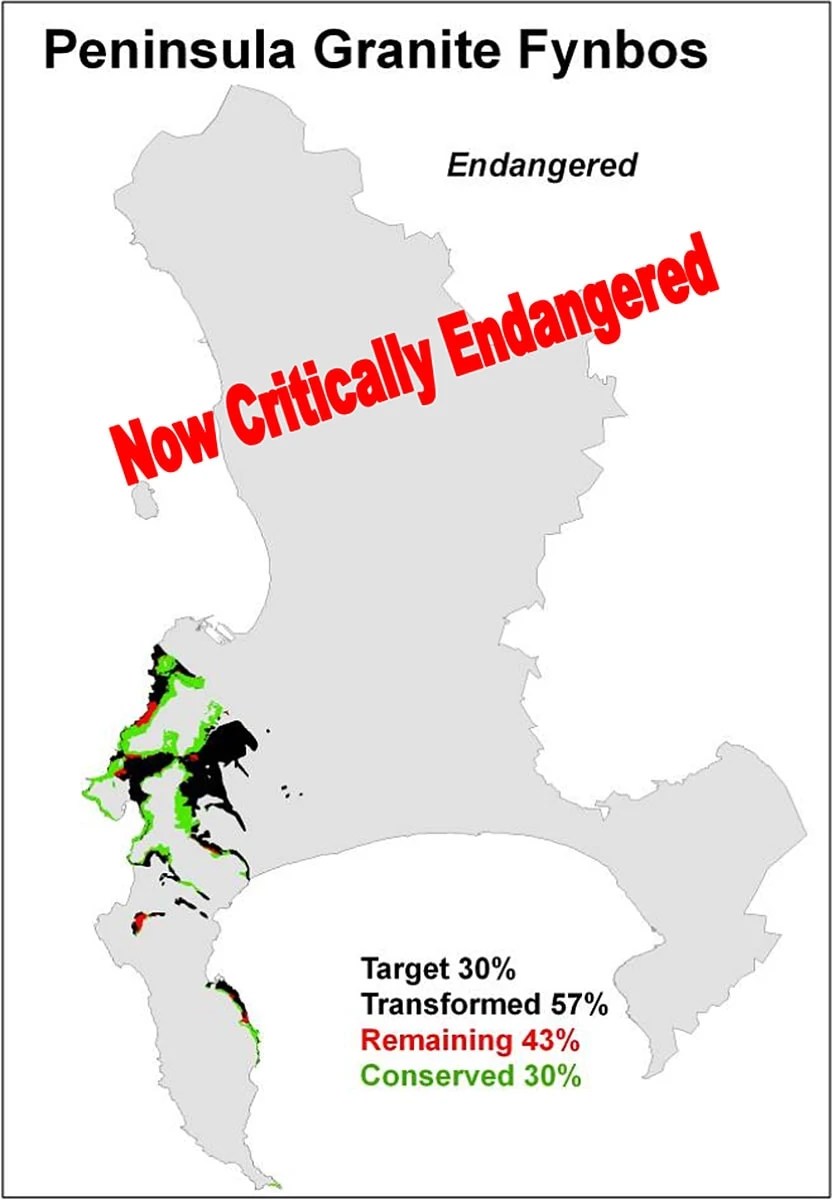 Peninsula Granite Fynbos – A Restoration Story II - Friends of Tokai Park