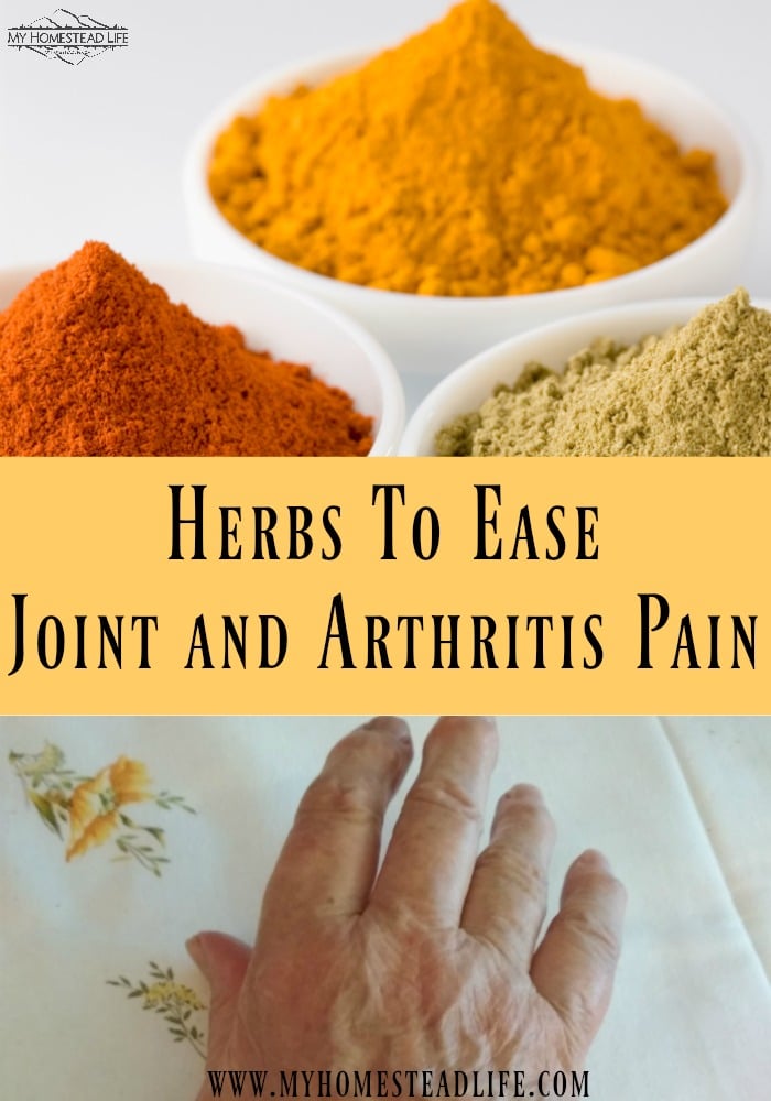 5 Herbs To Ease Joint and Arthritis Pain - My Homestead Life