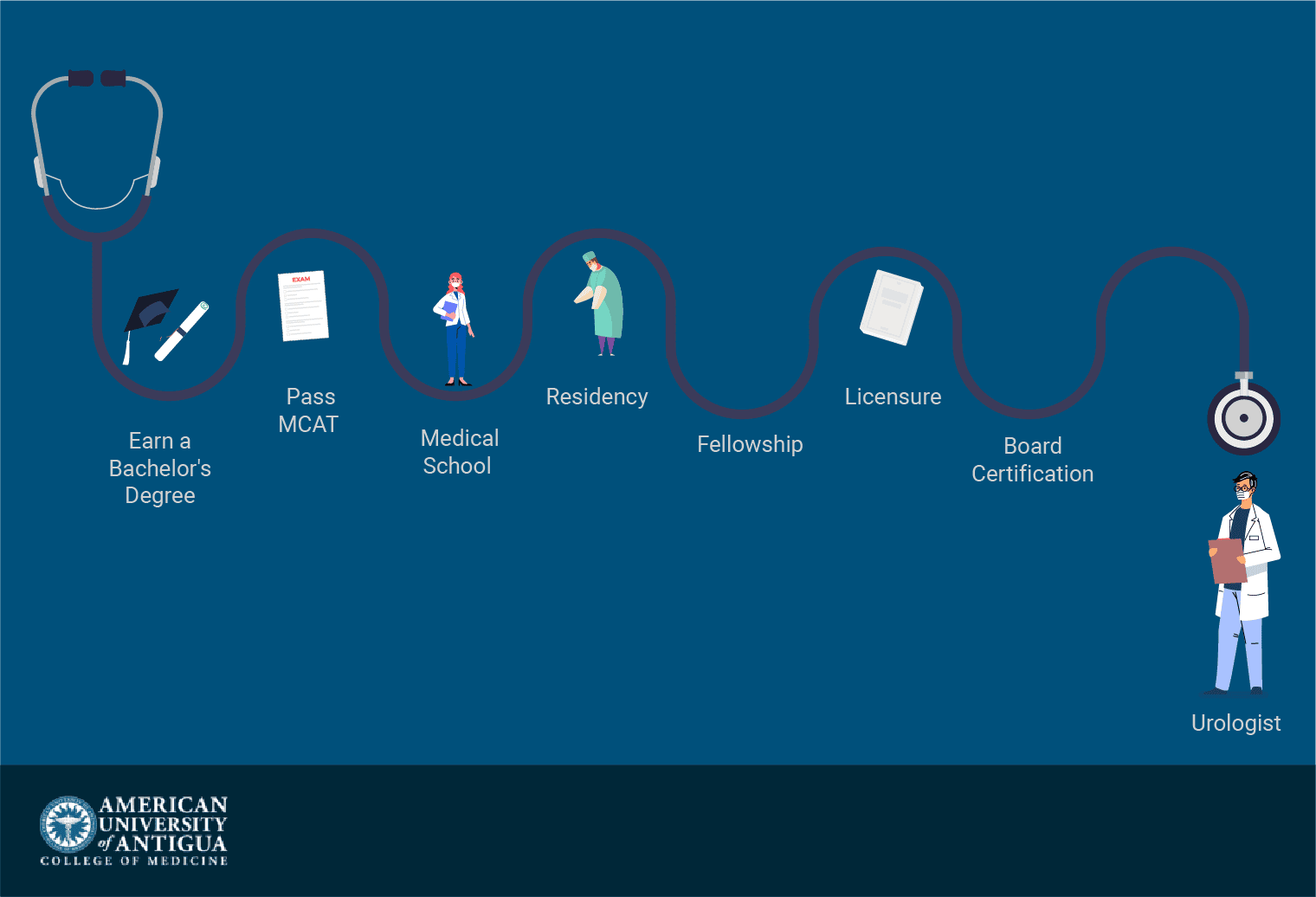 The Ultimate Guide: How To Become a Urologist - American University of ...