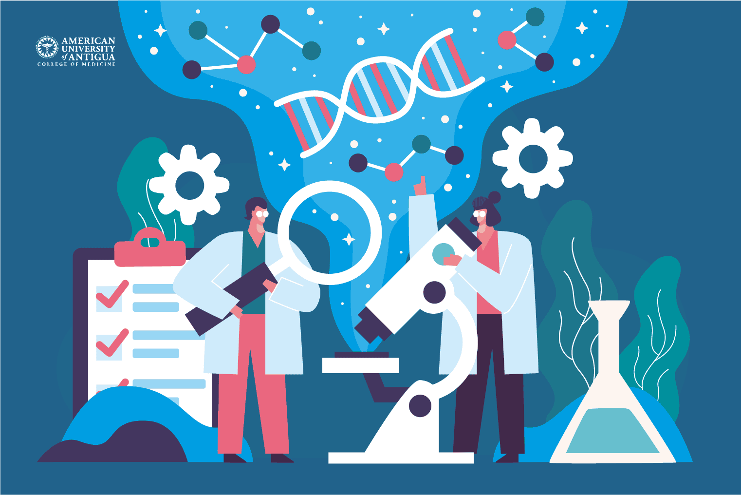 How Long Does it Take to Become a Doctor in the U.S.? - American ...