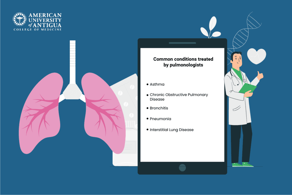 What Is a Pulmonologist? Key Roles and What They Treat - American ...
