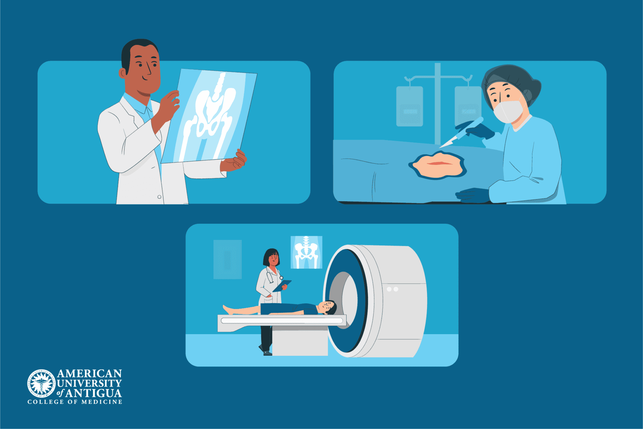 What Is a Radiologist? Types, Duties, and Training - American ...