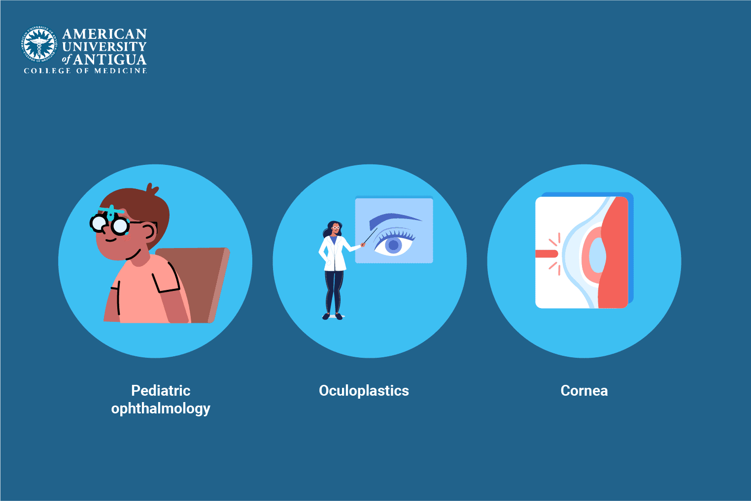 What Is an Ophthalmologist? Your Guide to Eye Care Experts - American ...