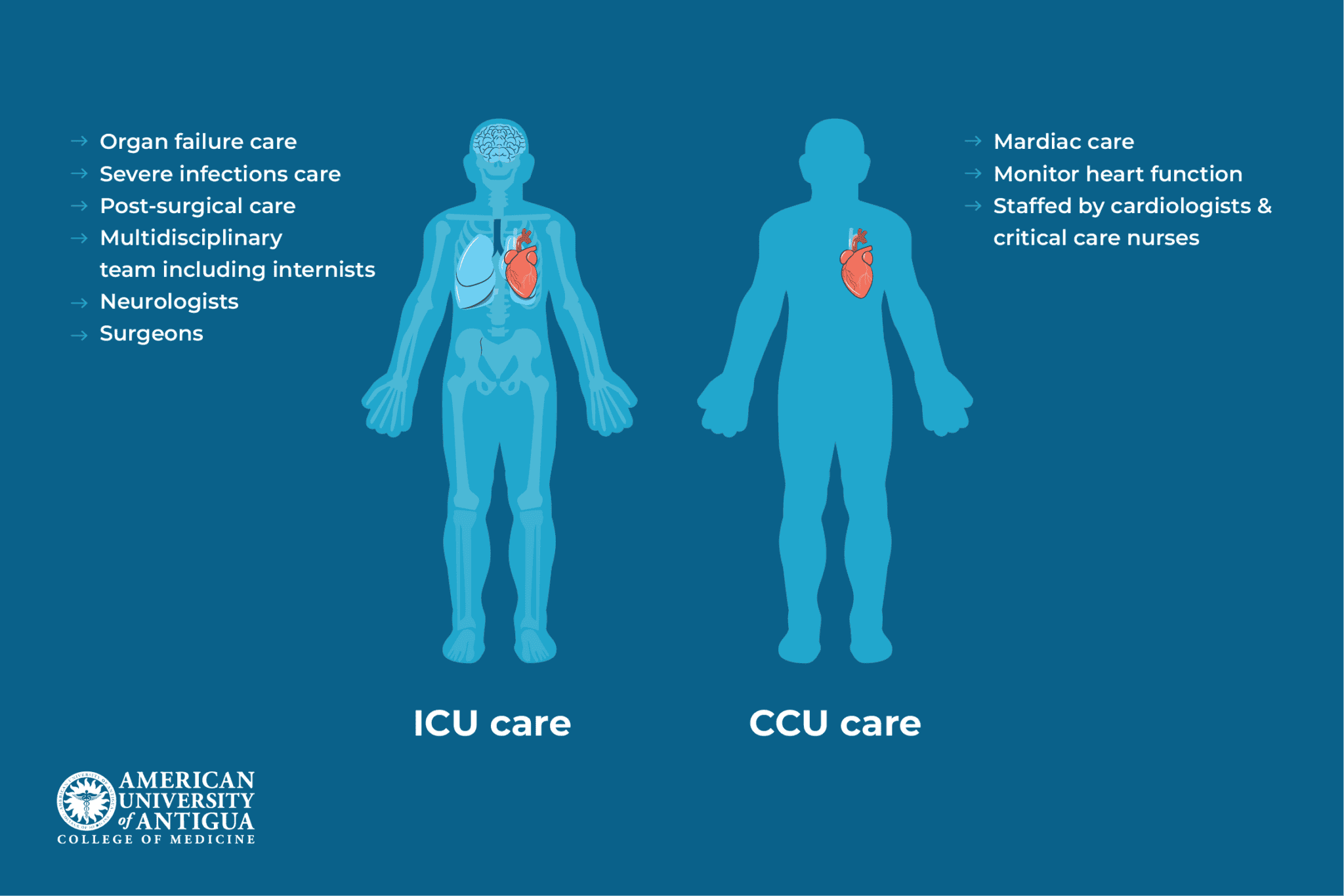 Is CCU Different From ICU? Find out the Key Differences - American University of Antigua