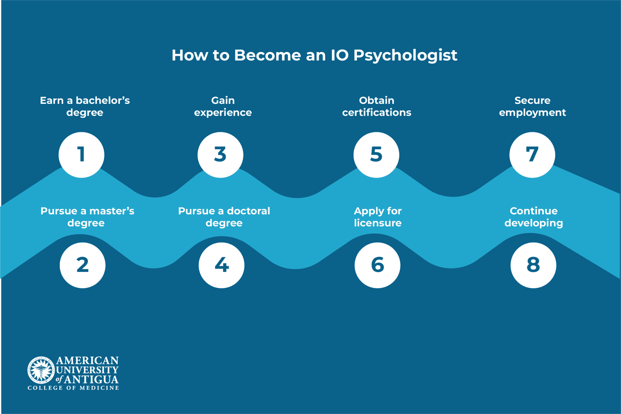 How to Become an IO Psychologist? Steps and Career Guide - American ...
