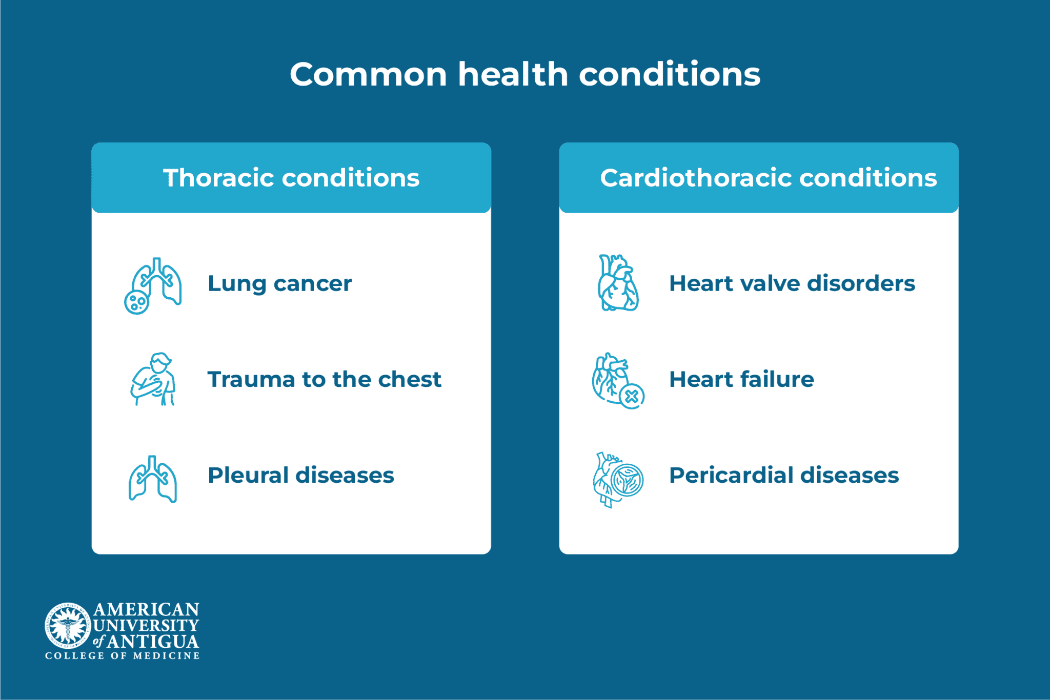 Thoracic Surgeon vs Cardiothoracic Surgeon: Key Differences - American ...
