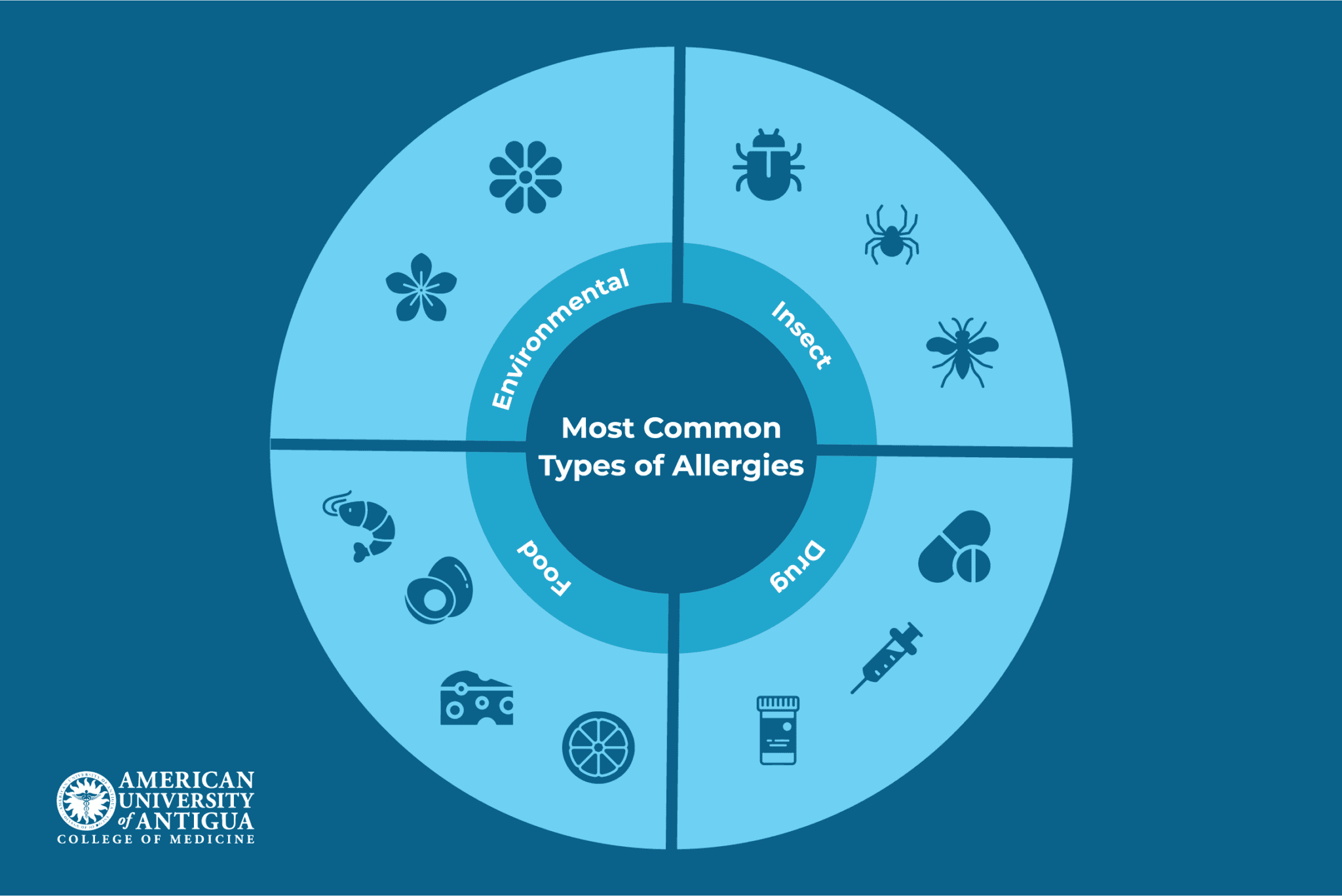 What Is an Allergist? Duties, Treatments & Careers - American ...