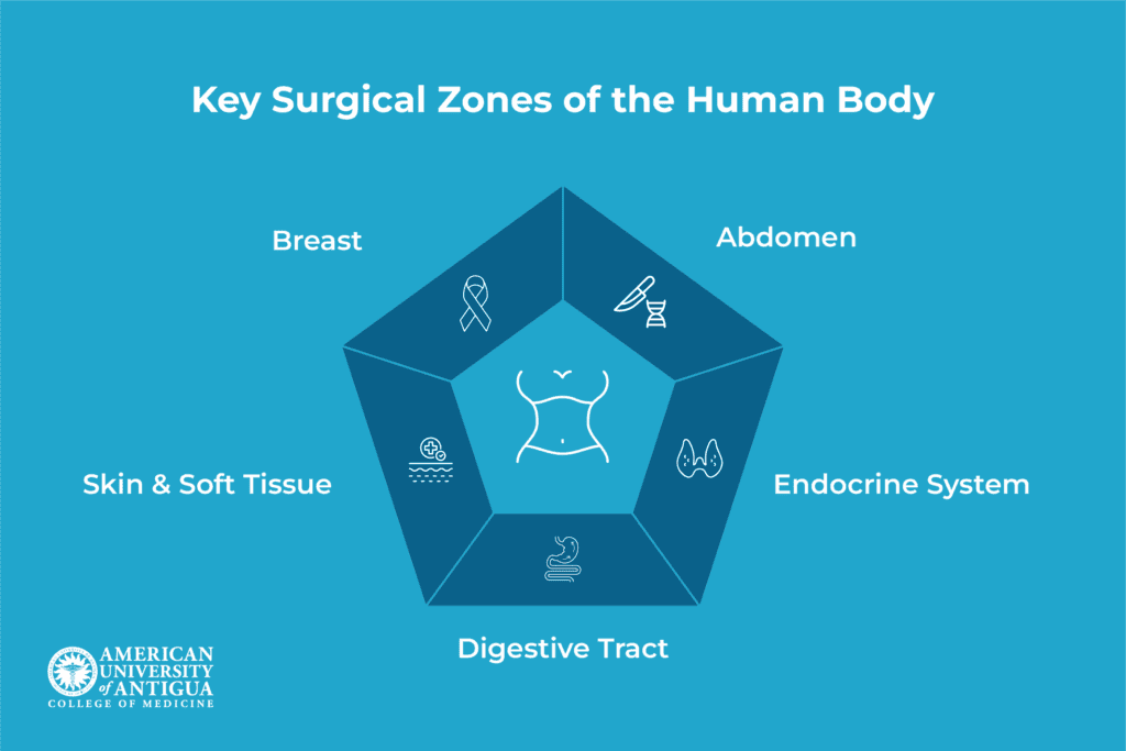 What Does a General Surgeon Do? Roles, Skills & Procedures