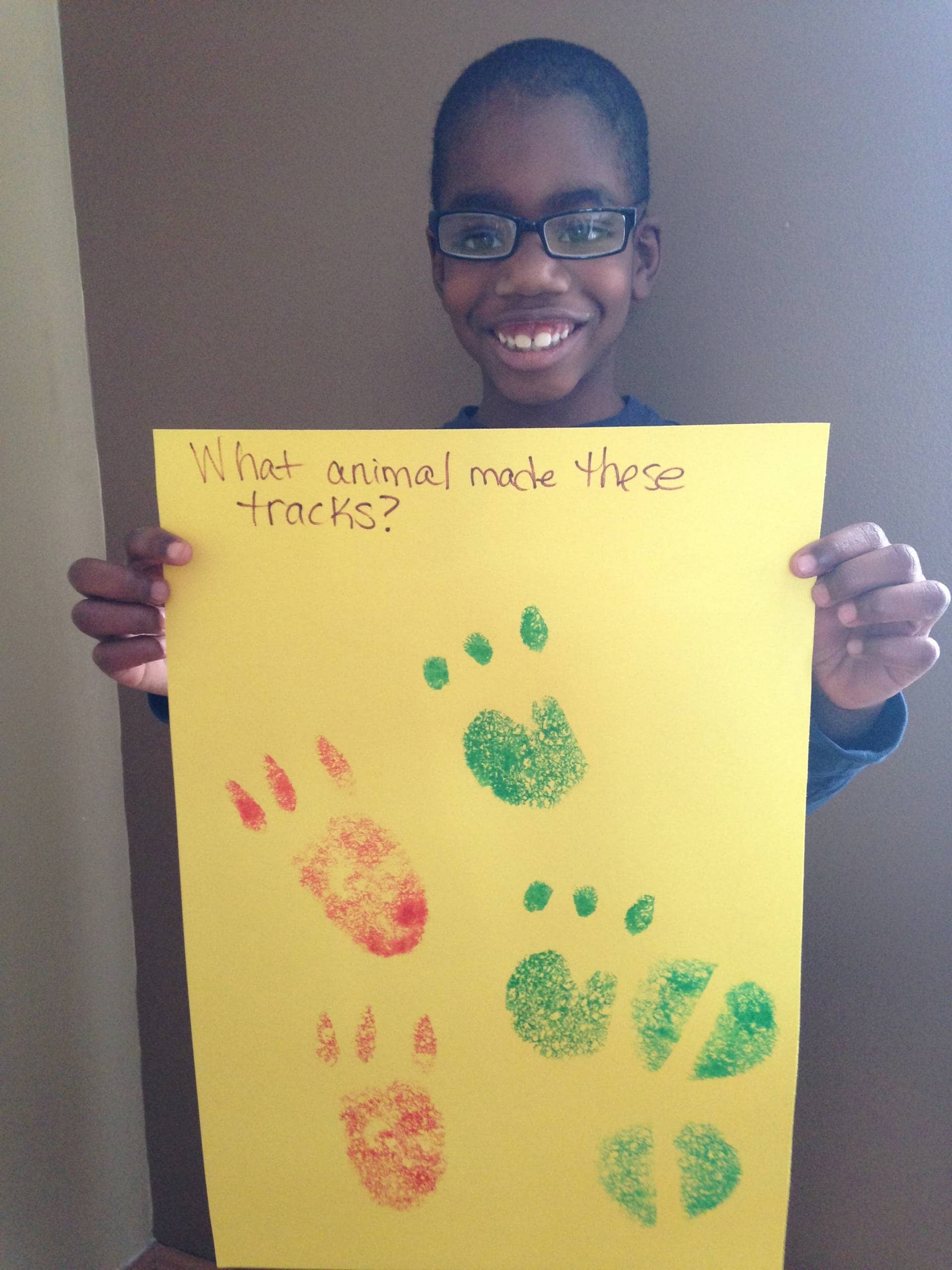 Animal Track Stamps - Green Kid Crafts