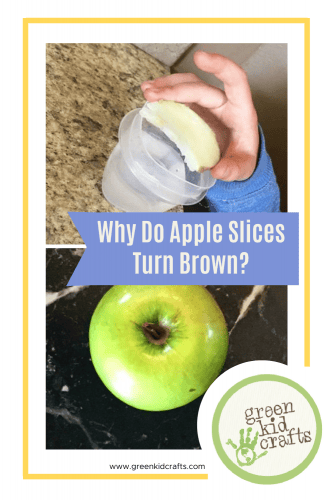 Why do Apples Turn Brown Science Project | Green Kid Crafts