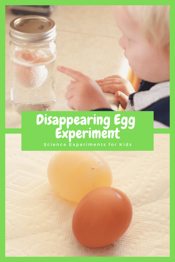 Egg Experiments | Watch in Awe as your Egg Transforms
