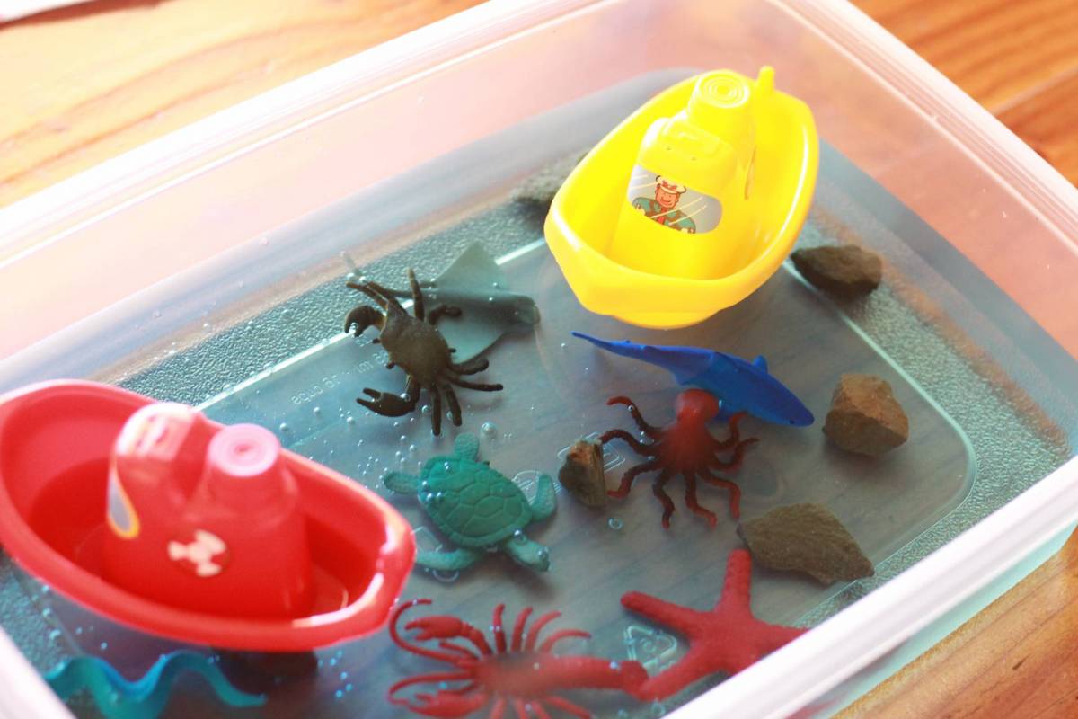 Ocean Pollution Science Fair Projects | Intriguing Experiments