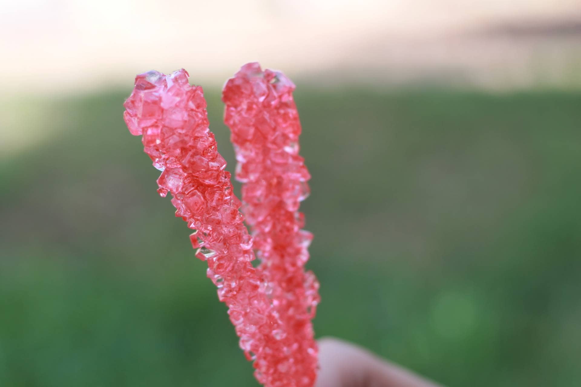 Rock Candy Experiment | Science with Delicious Results