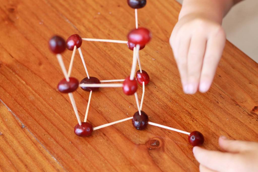 Cranberry Engineering - Green Kid Crafts