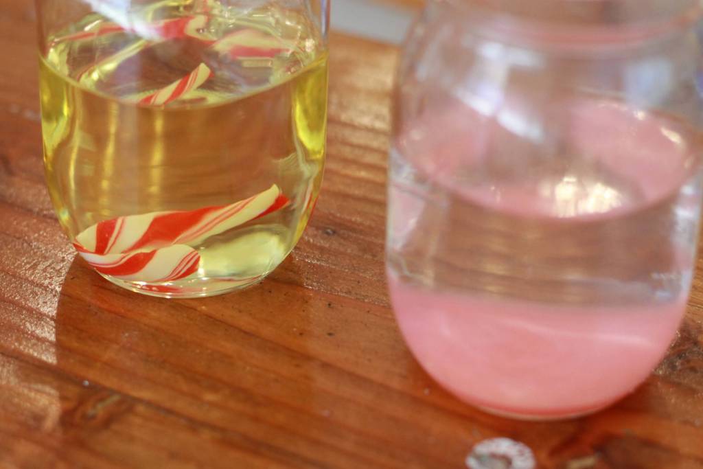 Dissolving Candy Canes - Green Kid Crafts