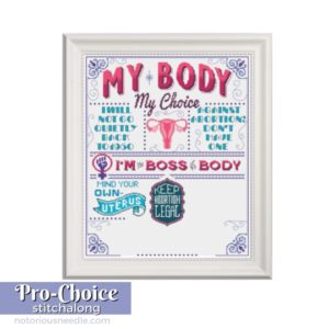 Notorious Needle – Snarky Cross Stitch Design