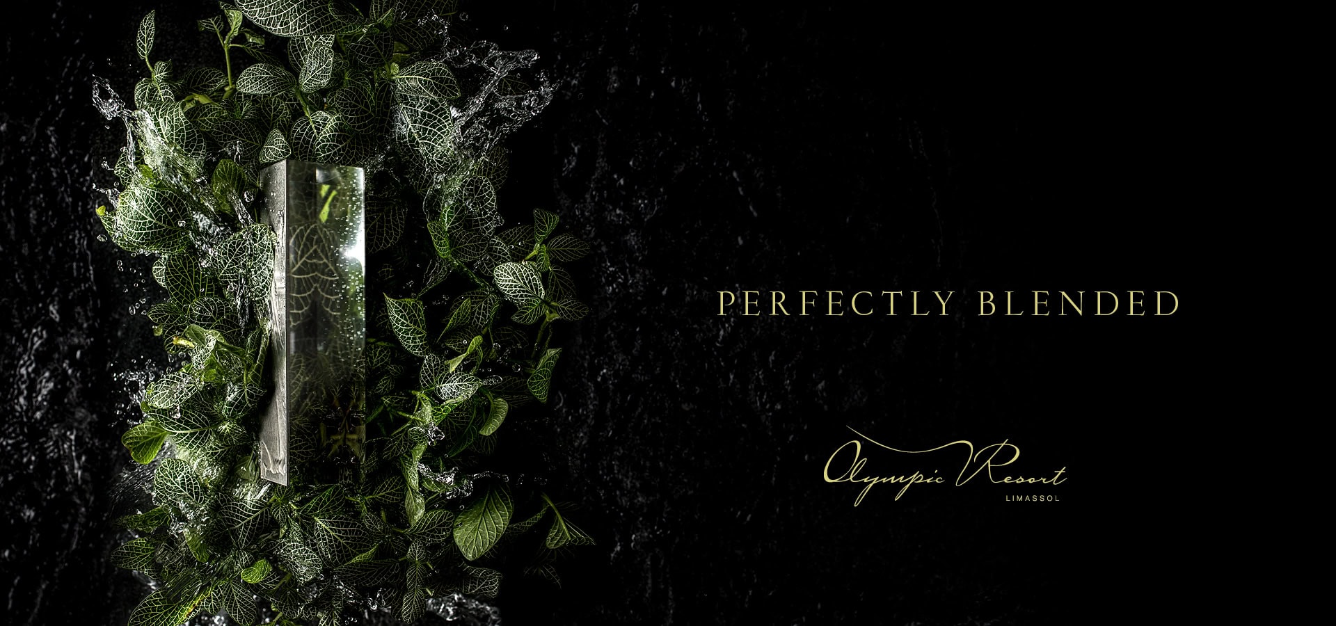 Parazar Brand Boutique | Branding » Advertising » Consumer Experience