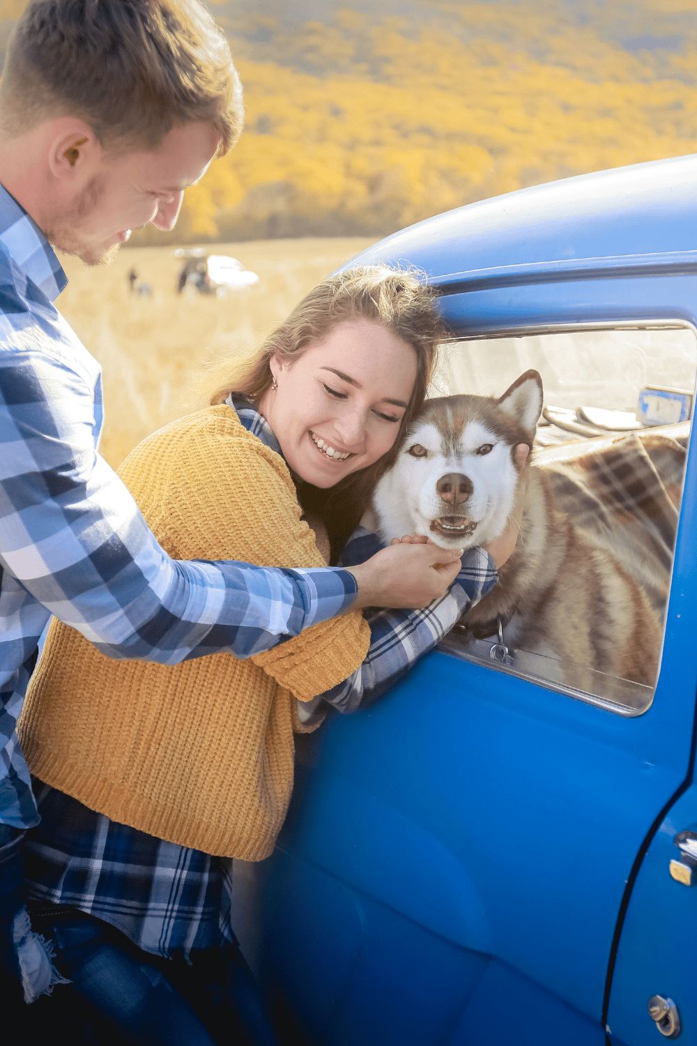 Dog breed: Golden Retriever - Life with Chevy