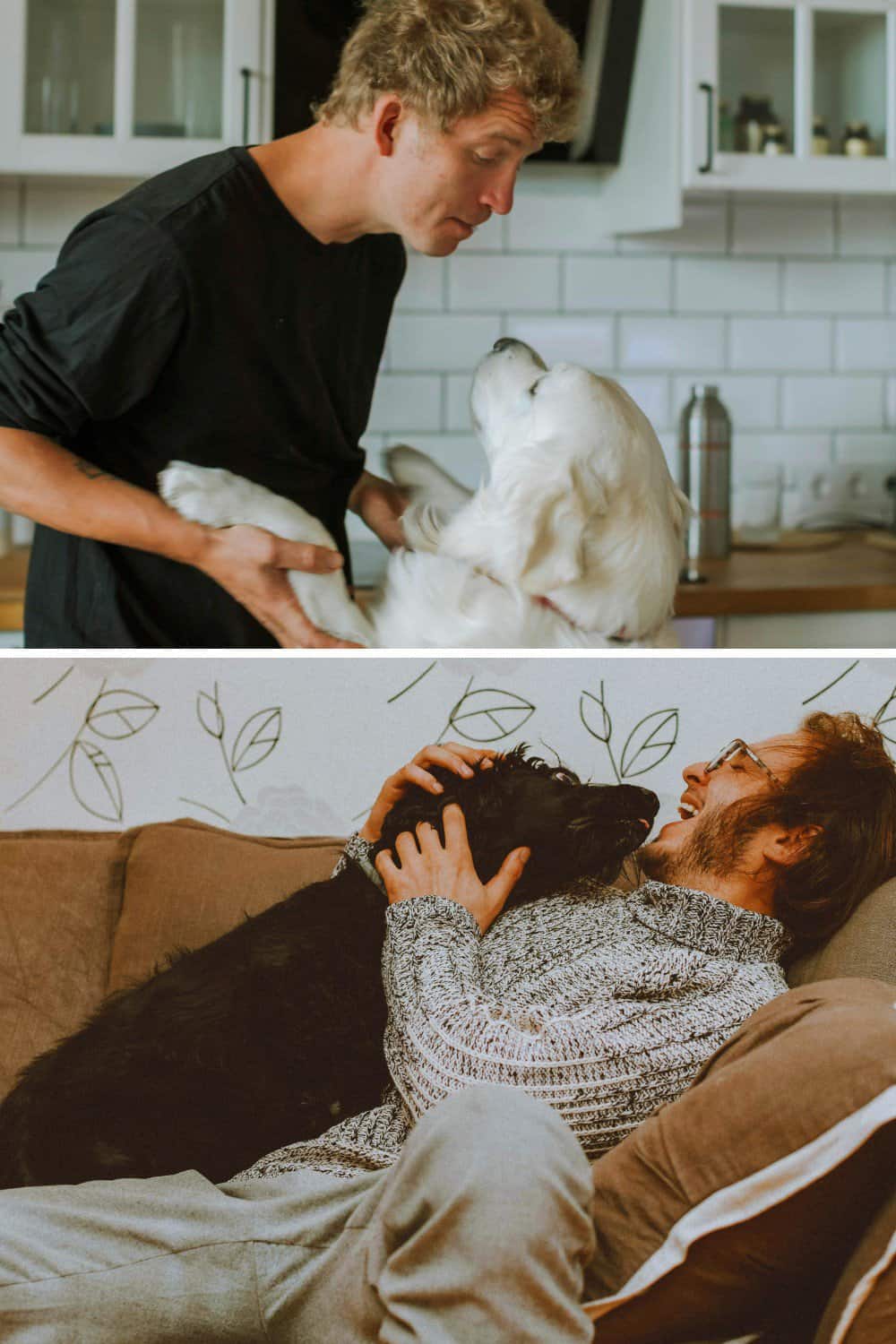 Dog Fathers Day Gifts: 29+ Gift Ideas For All The Types of Dog Dads in ...