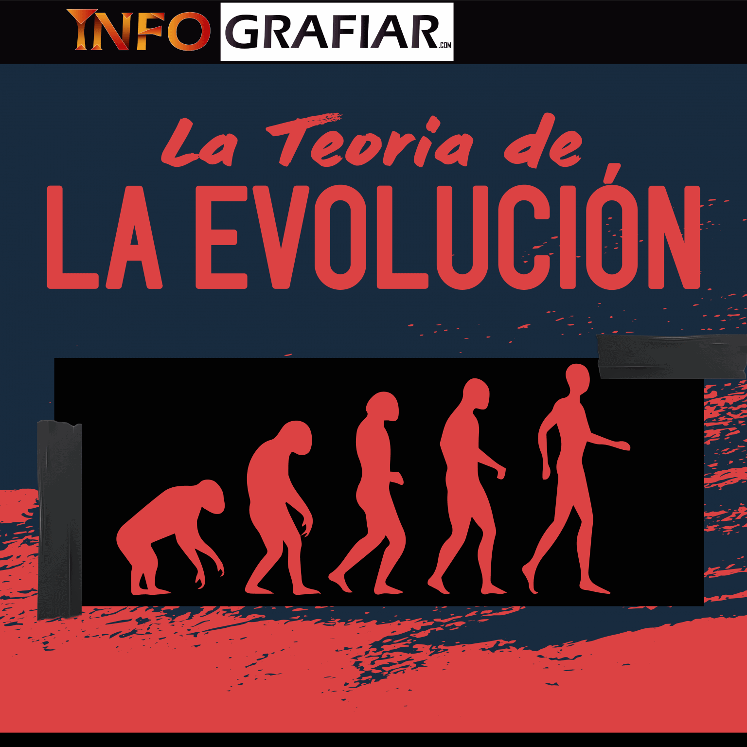La Teoría de la Evolución - INFOGRAFIAR