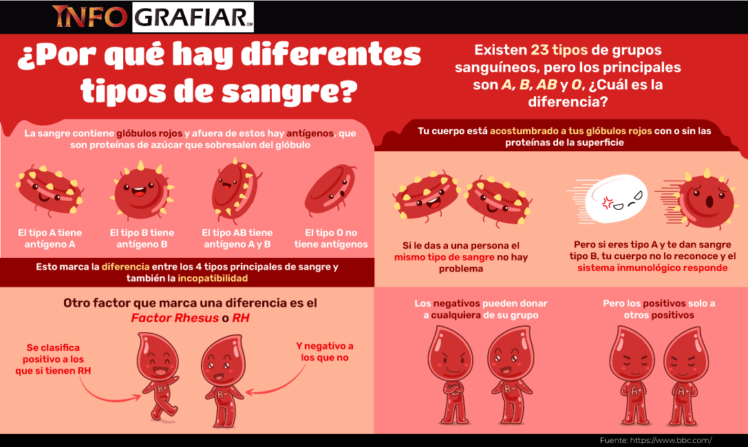 ¿Por qué tenemos distintos tipos de sangre? - INFOGRAFIAR