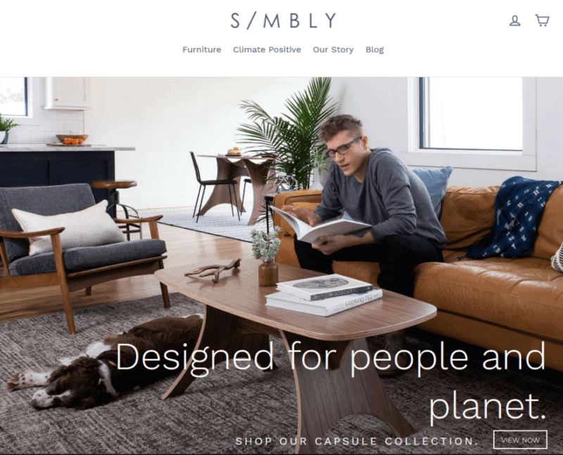 15 Eco Brands that Plant Trees When You Buy a Product - Mindful of the Home