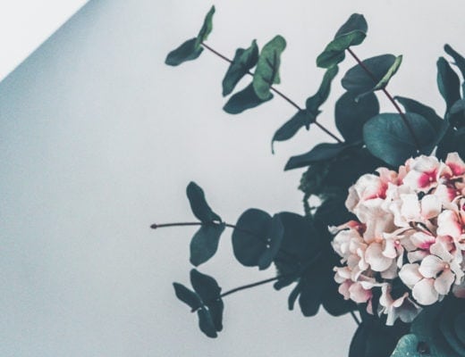 13 Easy DIY Natural Decor Ideas - Mindful of the Home