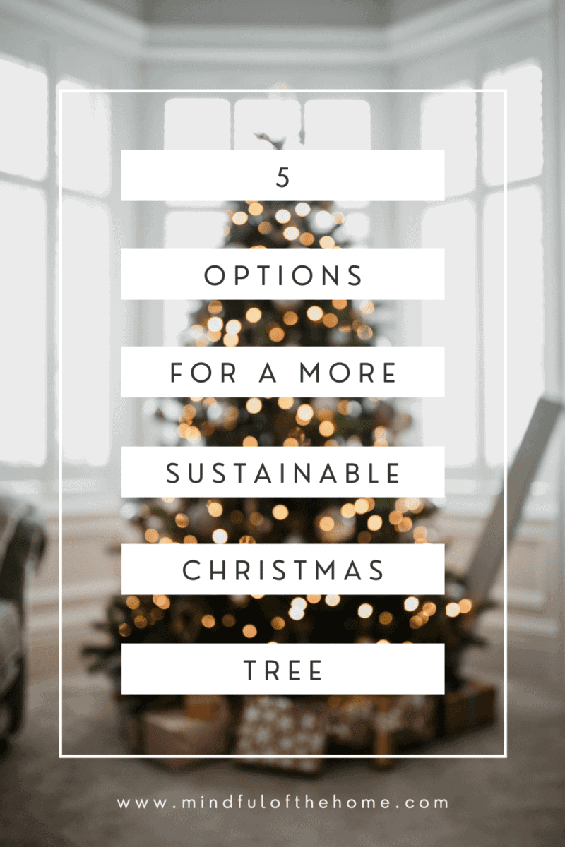 5 Best Christmas Tree Options for Sustainable Living - Mindful of the Home
