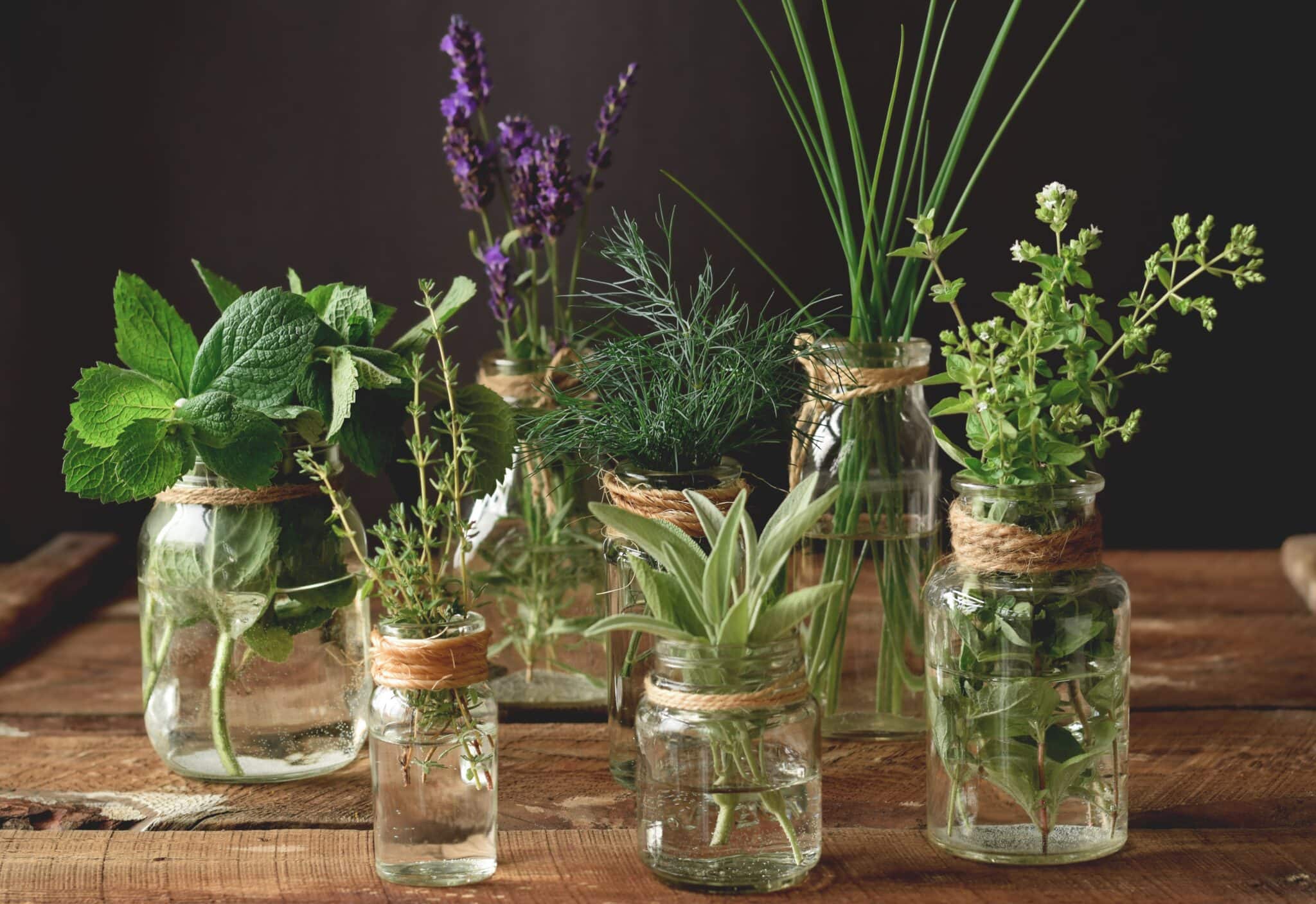 16 Practical Ways to Reuse Glass Jars - Mindful of the Home
