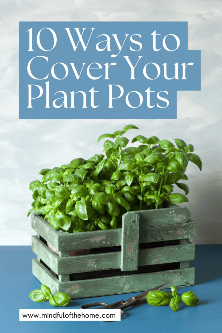 10 Easy Ways to Hide Ugly Plant Pots - Mindful of the Home