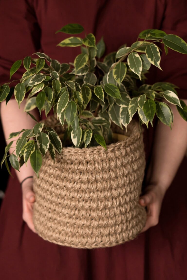10 Easy Ways to Hide Ugly Plant Pots - Mindful of the Home