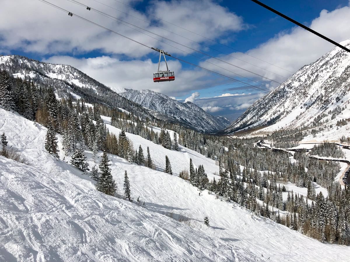 SlopeLab’s Review of Snowbird