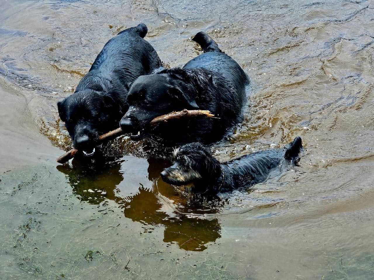 Home - Springvale Farm Cottages