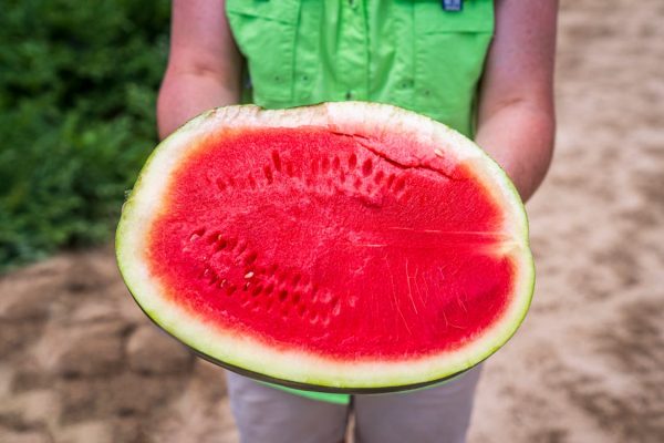 Why Are There Different Colors of Watermelon Inside? - Veganiac